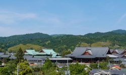 Tenrikyo Online – Latest Tenrikyo news, articles on the teachings, and ...