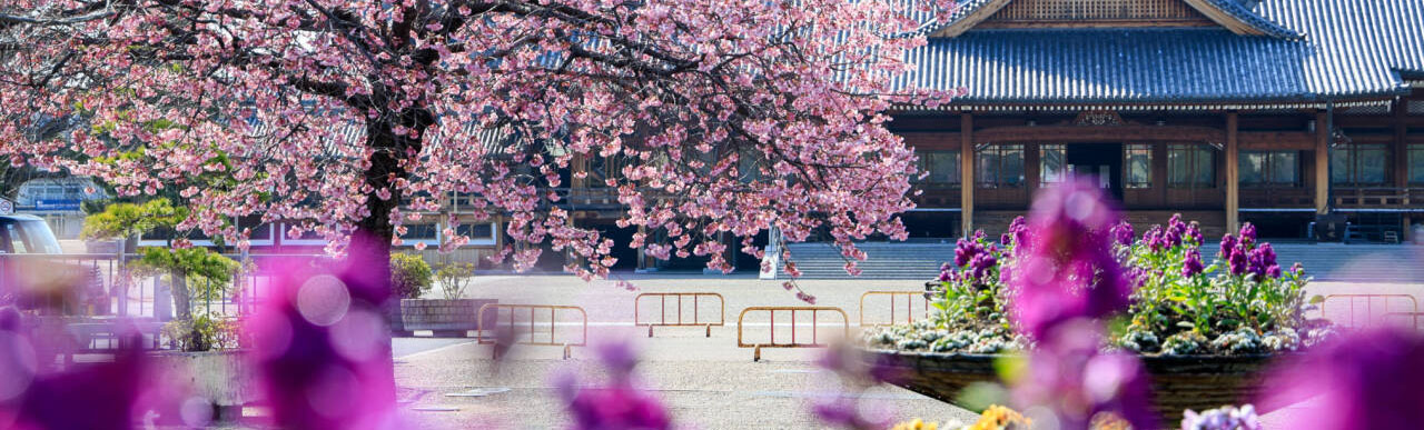 Tenrikyo Online – Latest Tenrikyo news, articles on the teachings, and ...